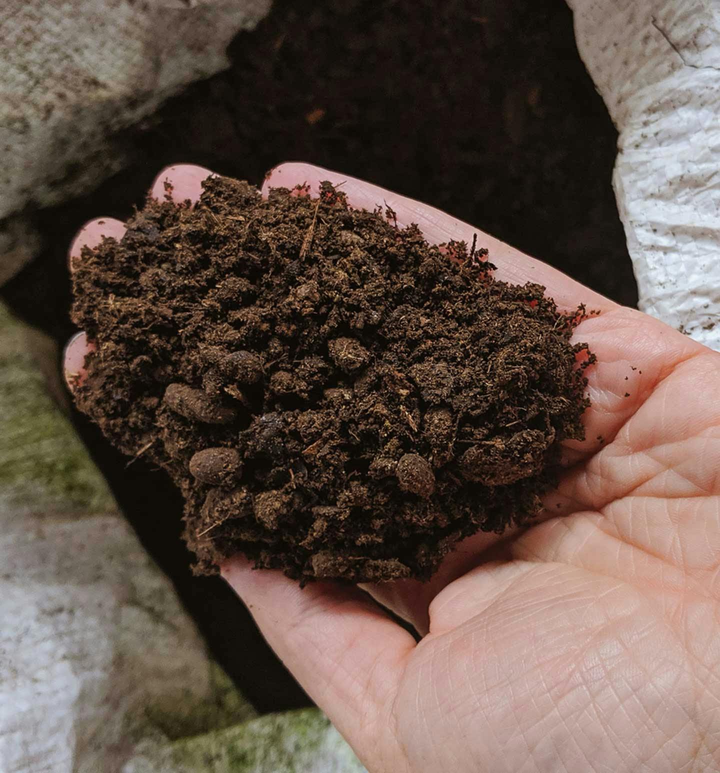 Coffee Composting 101: Grounds to Garden Gold | Stumptown Coffee Roasters