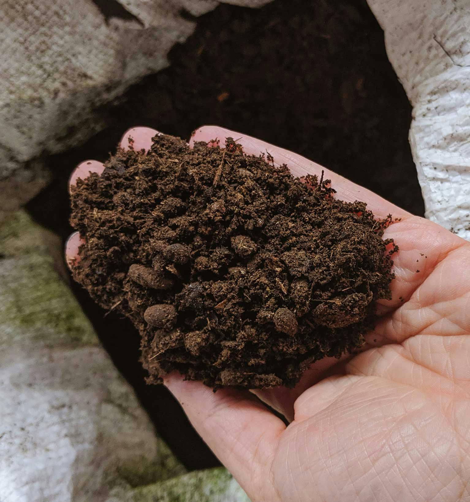 Coffee Composting 101: Grounds to Garden Gold | Stumptown Coffee Roasters